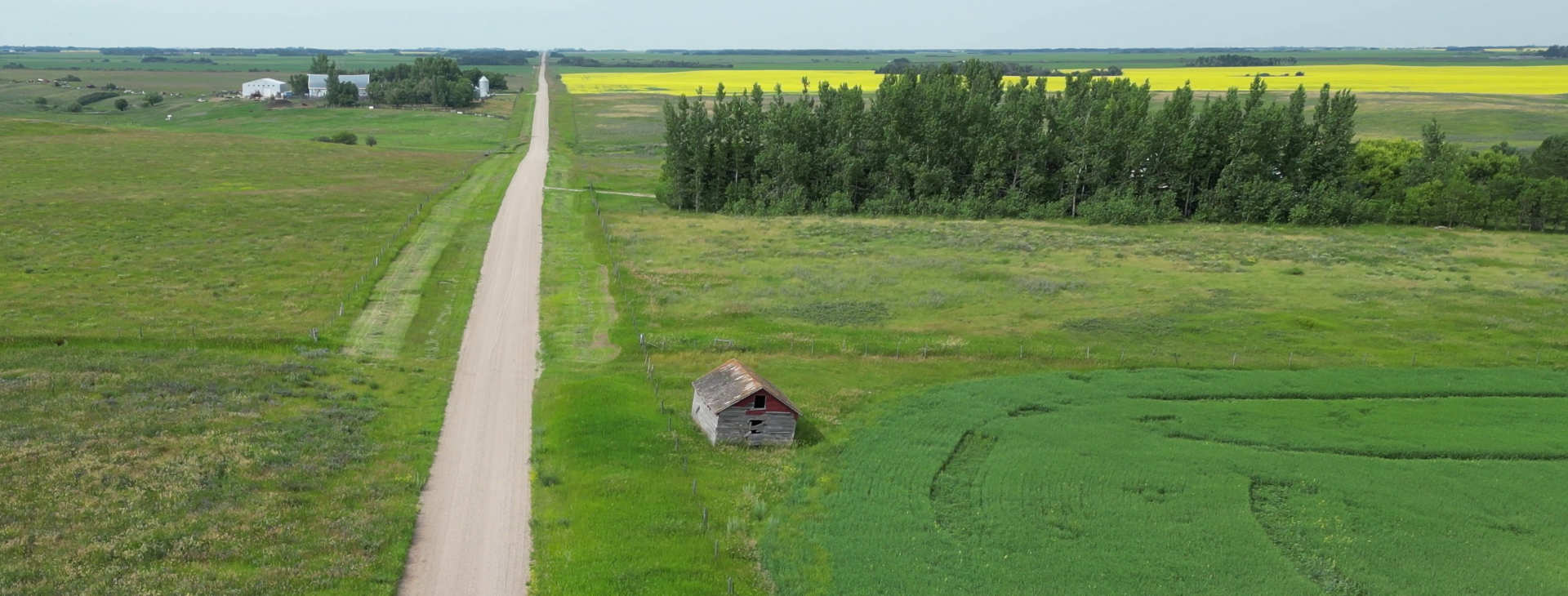 Home Page [farmyardpix.com]