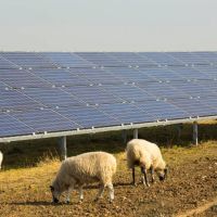 Truss's plan to ban solar on farmland risks £20bn of investment ...