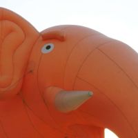 Poll: Republican voters were mad about inflation, not trans people ...