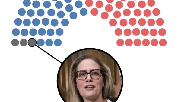 A visual breakdown of what Kyrsten Sinema's Senate switch to – Article Bias Rating – Biasly