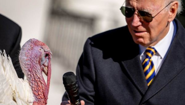 Fact checking Biden's fowl boast as he pardoned Thanksgiving turkeys ...