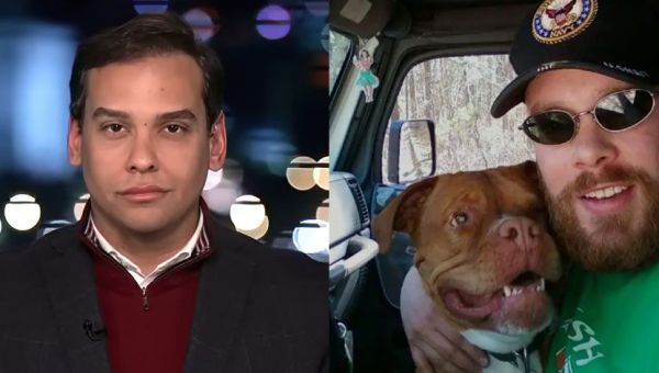 Disabled Veteran: George Santos Took $$$ From Dying Dog's GoFundMe ...