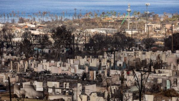 Officials Defend Not Sounding Sirens for Maui Wildfires as Death Toll ... Officials Defend Not Sounding Sirens for Maui Wildfires as Death Toll ...