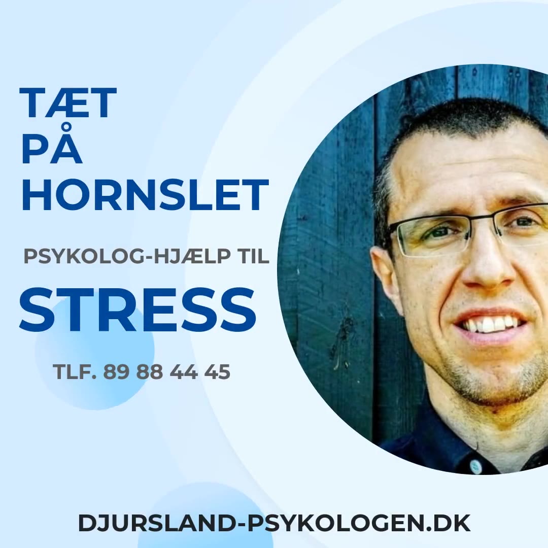 Psykolog nær ‹Hornslet›. Erfaren psykolog (uden ventetid) | Djursland-psykologen