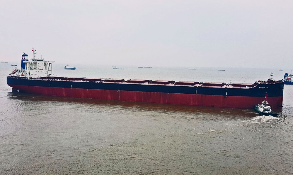Star Bulk and Eagle Bulk complete merger - International News | Greece