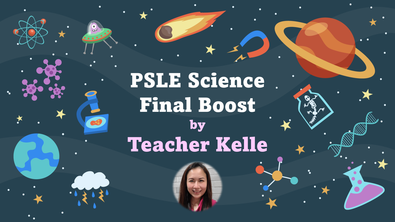 PSLE Science Final Boost – Kainetik Learning Centre