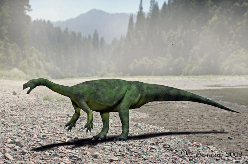 Elliot Formation - urzeittiere.net