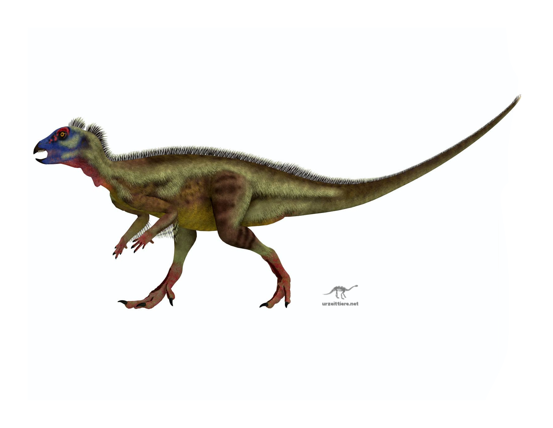 Hypsilophodon foxii- „Zahn mit hohen Kämmen“ - urzeittiere.net