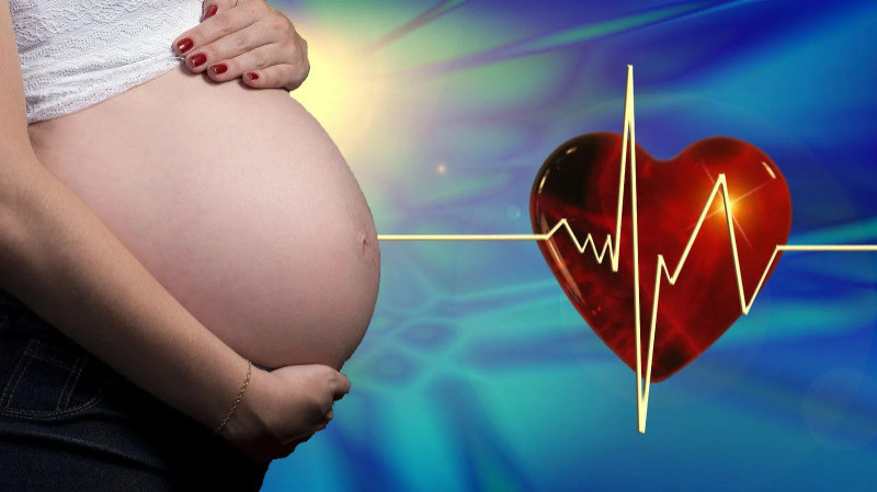 HEART DISEASE IN PREGNANCY: FROM PATHOPHYSIOLOGY TO EFFECTIVE ...