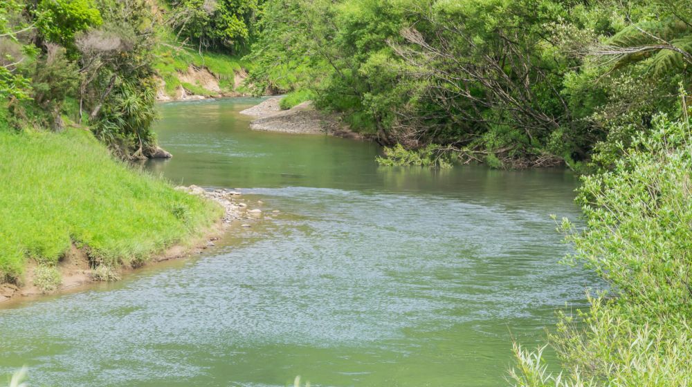 Awakino River, downstream of Mahoenui Bridge on NiceFish