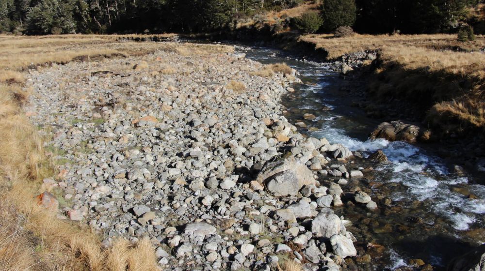 Boyle River, part of Lewis Pass Designated Water on NiceFish