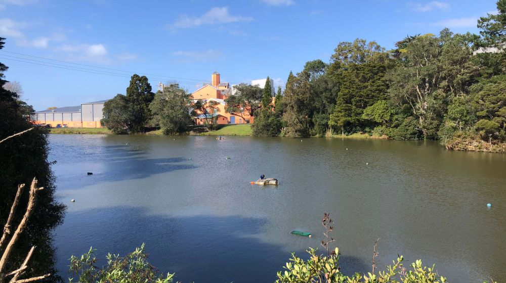 Chelsea Sugar Factory on NiceFish