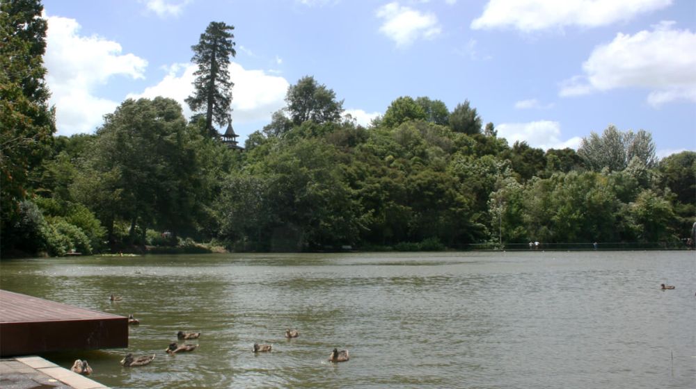 Turtle Lake on NiceFish