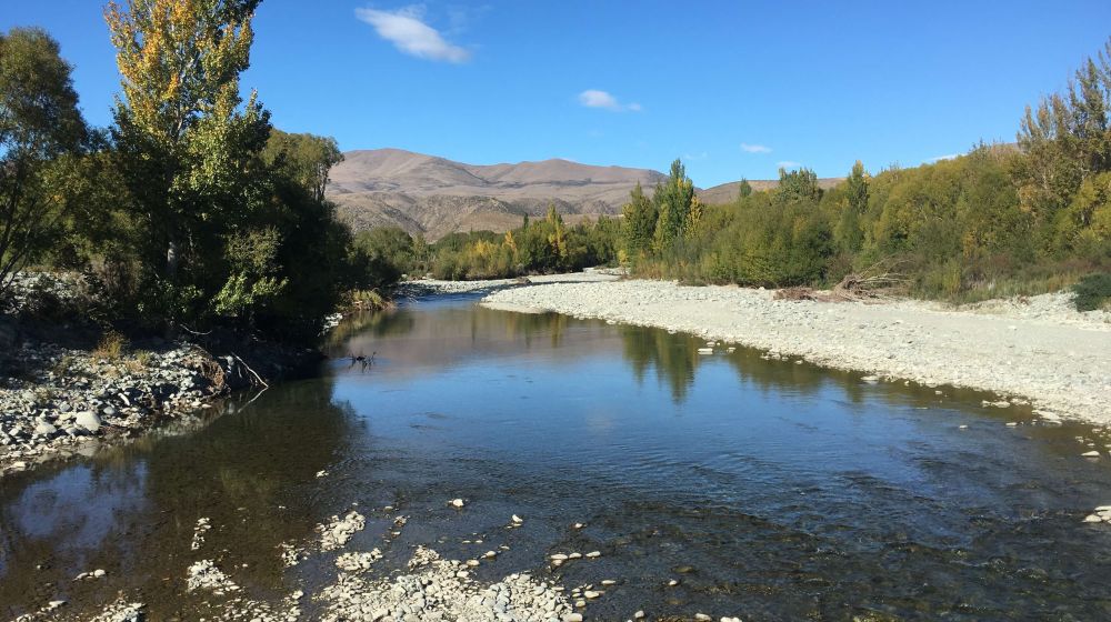 Twizel River on NiceFish