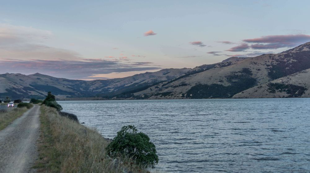 Lake Ellesmere 'Te Waihora' on NiceFish