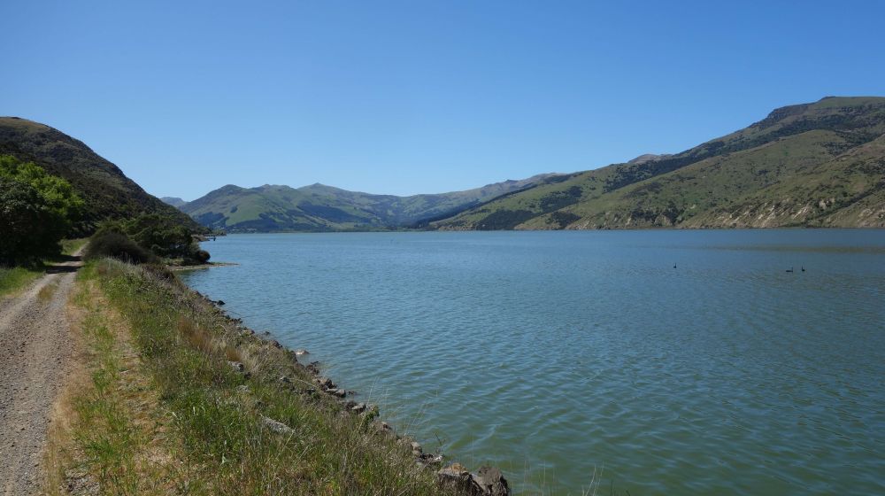 Lake Forsyth 'Wairewa' on NiceFish