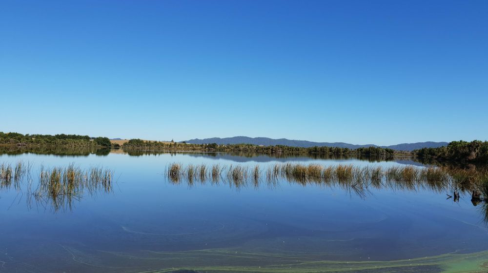 Lake D 'Kainui' on NiceFish