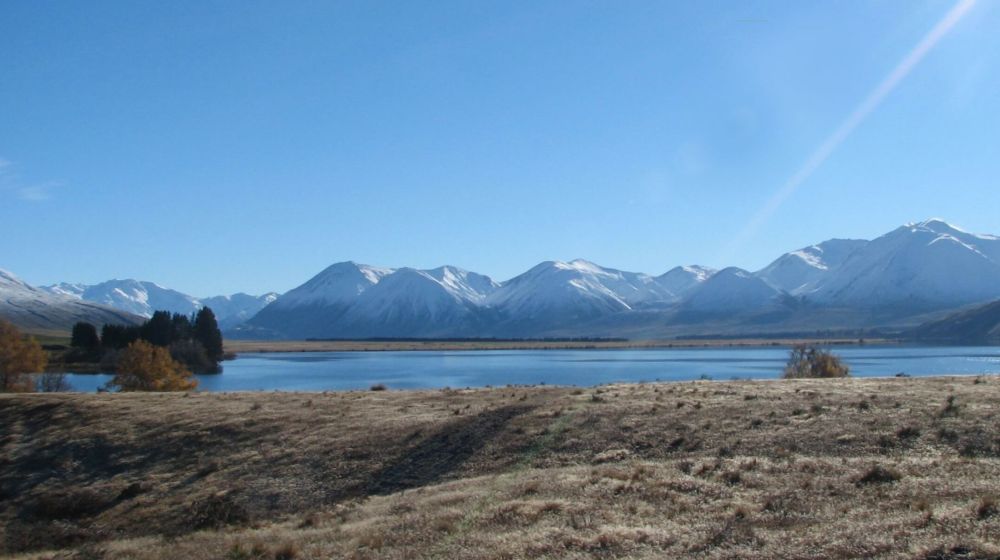 Harrisons Bight, Lake Heron on NiceFish