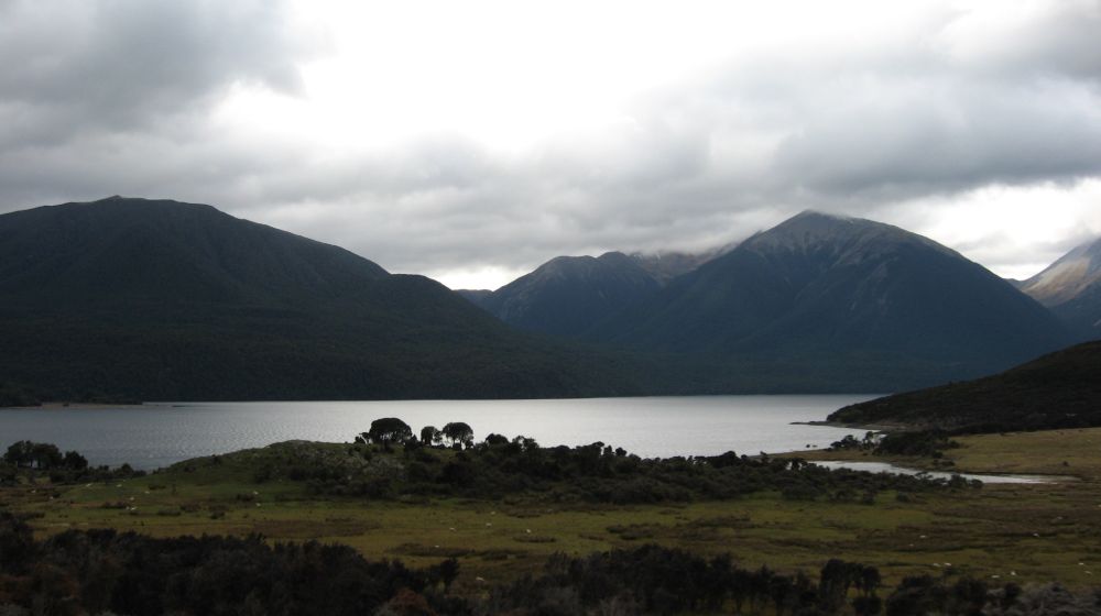 Lake Sumner on NiceFish