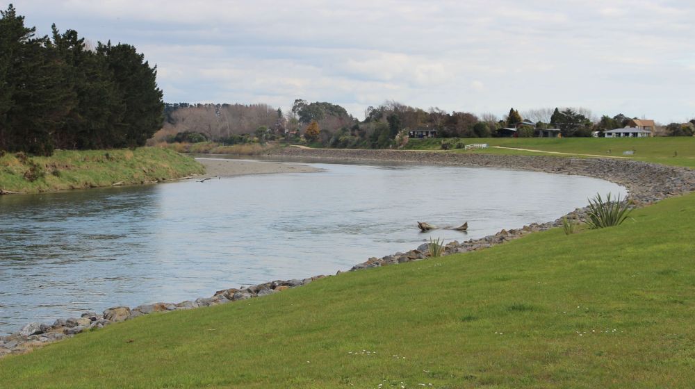 Manawatu River, upstream from the Maunga Road Bridge (up... on NiceFish