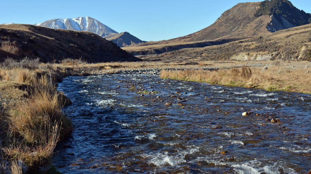 Porter River on NiceFish