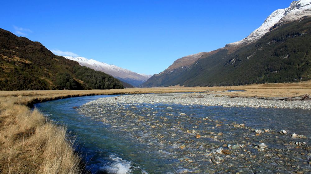Rees River on NiceFish