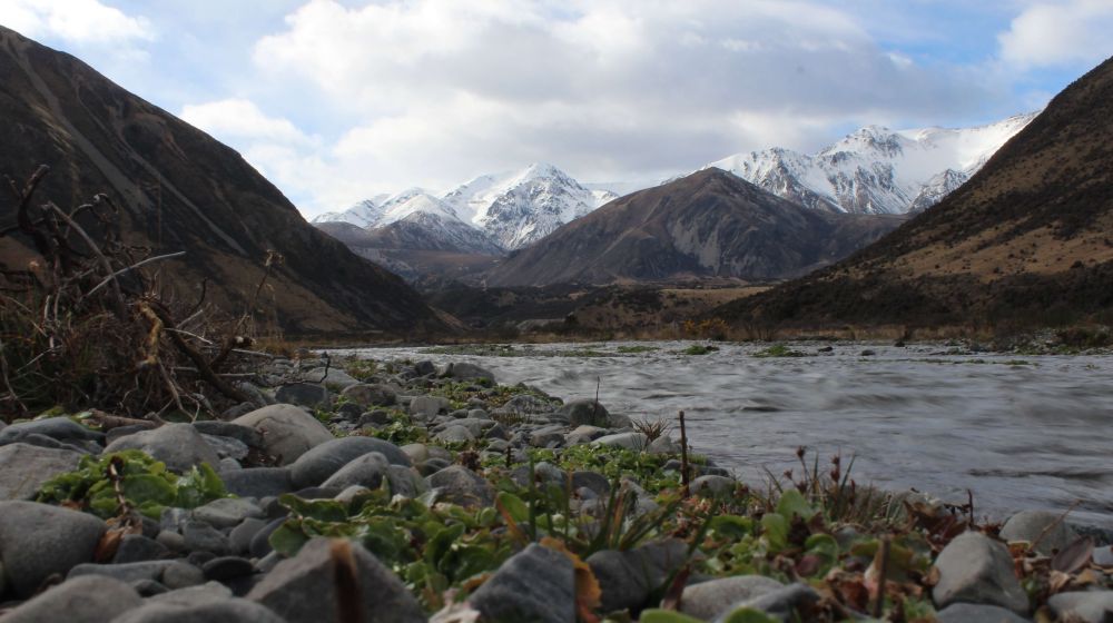 Ryton River on NiceFish