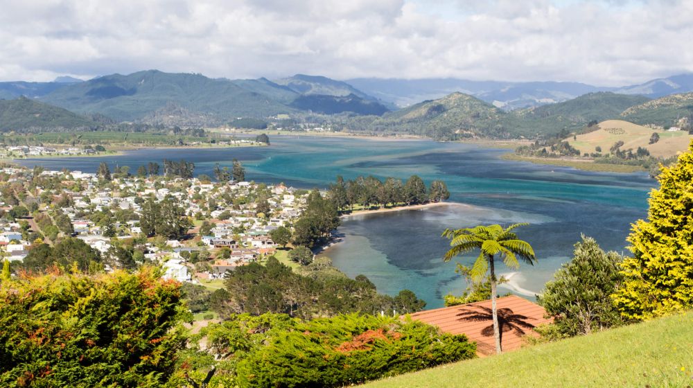 Tairua River on NiceFish