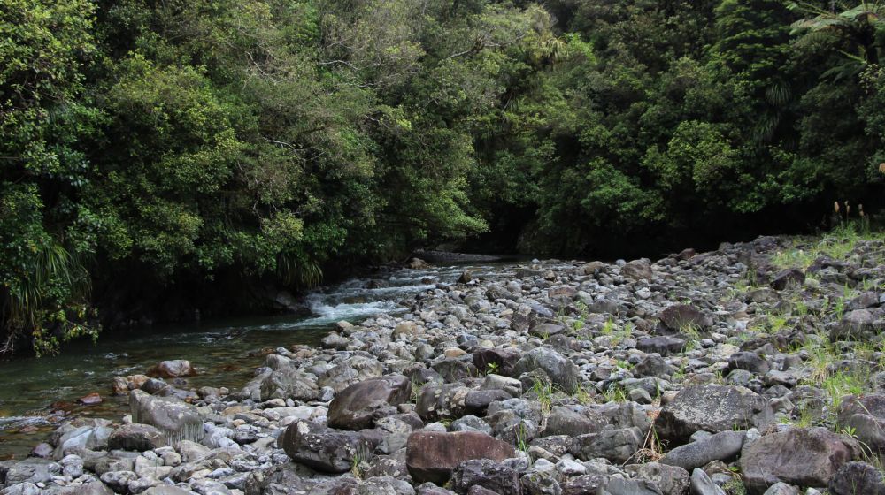 Ohau River, from Lake Ruataniwha upstream to the Lak... on NiceFish