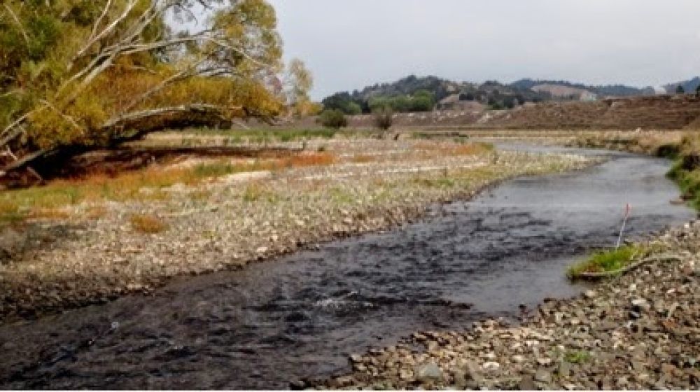 Taringamotu River on NiceFish