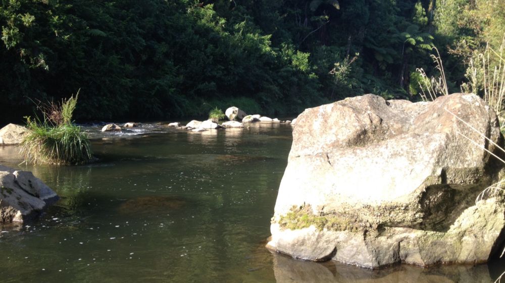Tawarau River on NiceFish