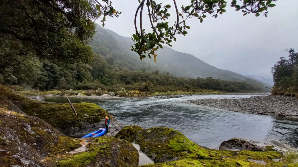 Thomas River on NiceFish