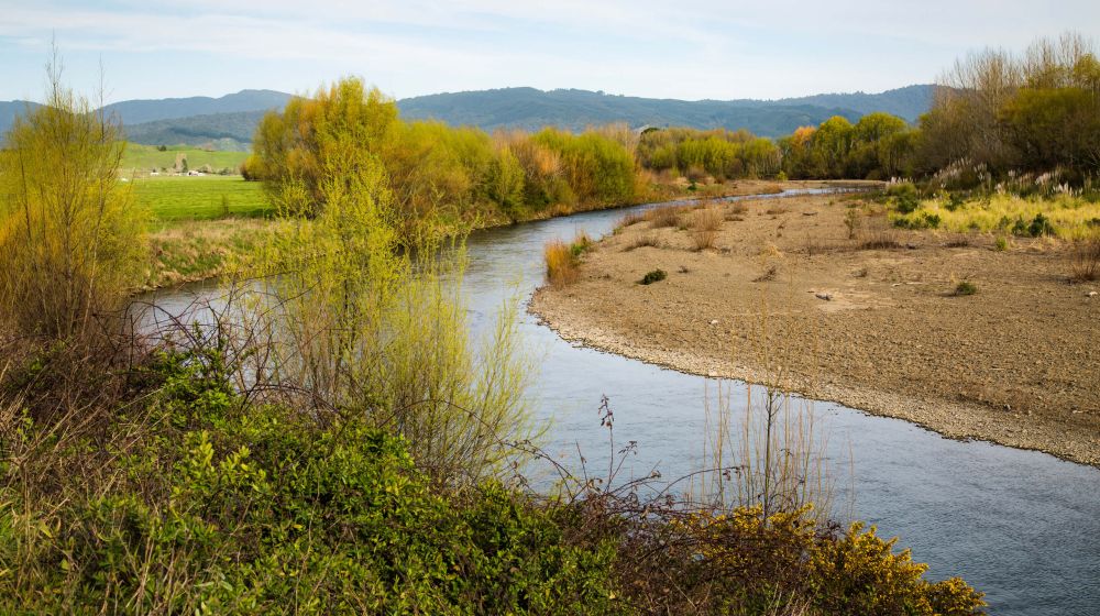 Waimana River 'Tauranga River', downstream of Matahi Bridge on NiceFish