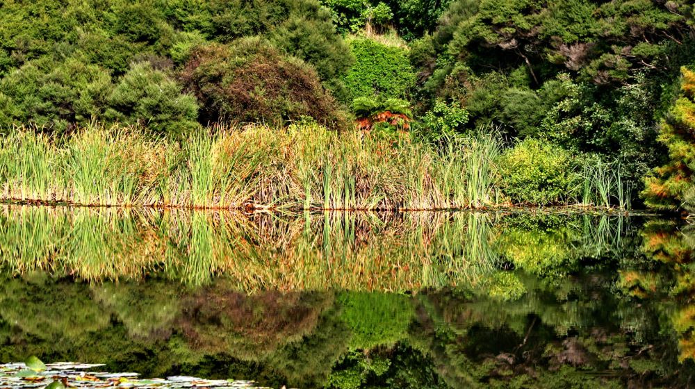 Whitby Lakes, Upper and Lower on NiceFish