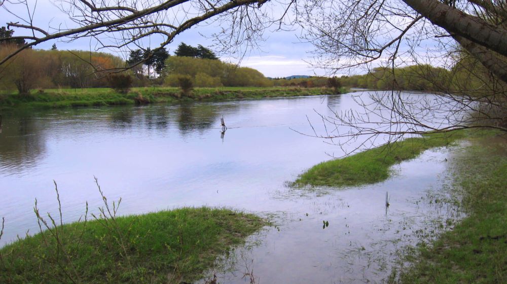 Aparima River, Wreys Bush Bridge to Thornbury Bridge on NiceFish