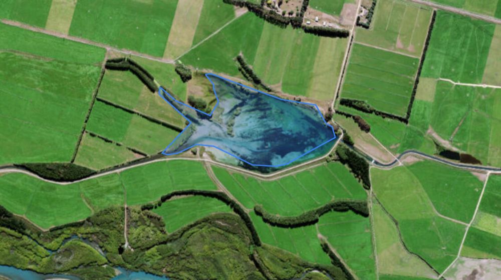 Bells Pond, Waitaki River irrigation pond at Ross Road on NiceFish
