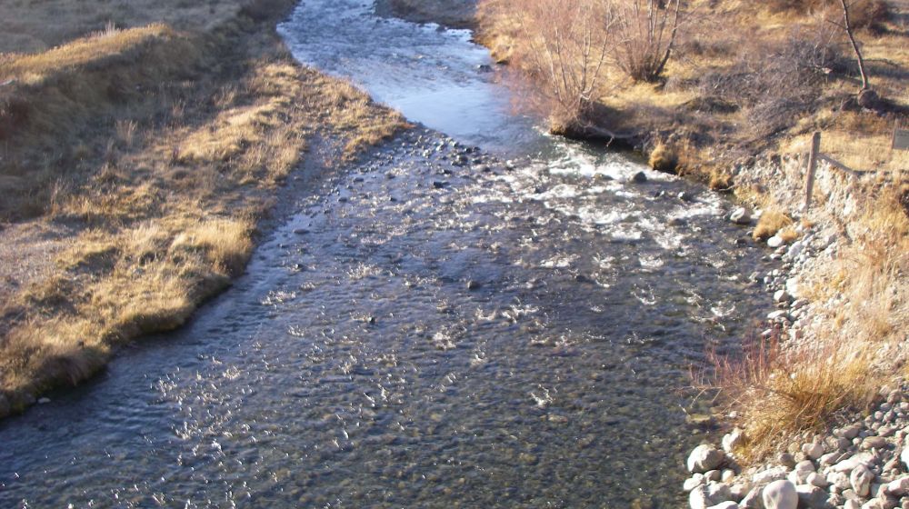 Fork Stream on NiceFish