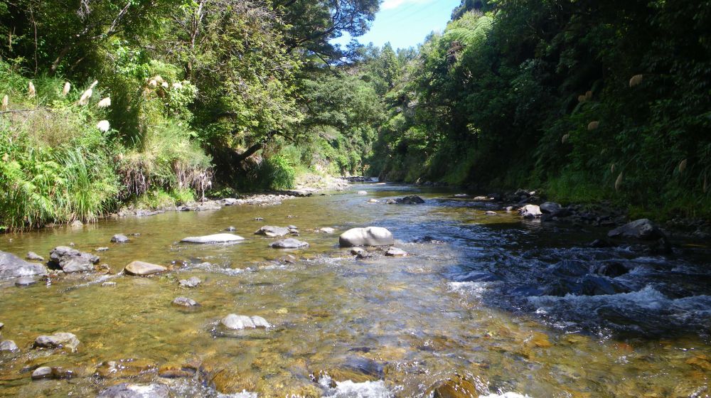 Whakatikei River on NiceFish