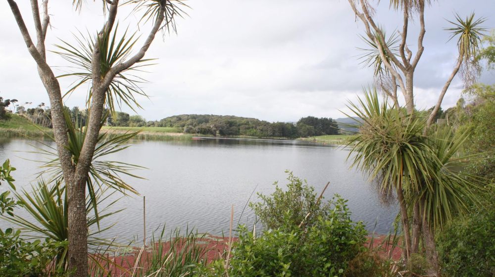 Lake Waitawa, (Otaki) - Forest Lakes on NiceFish