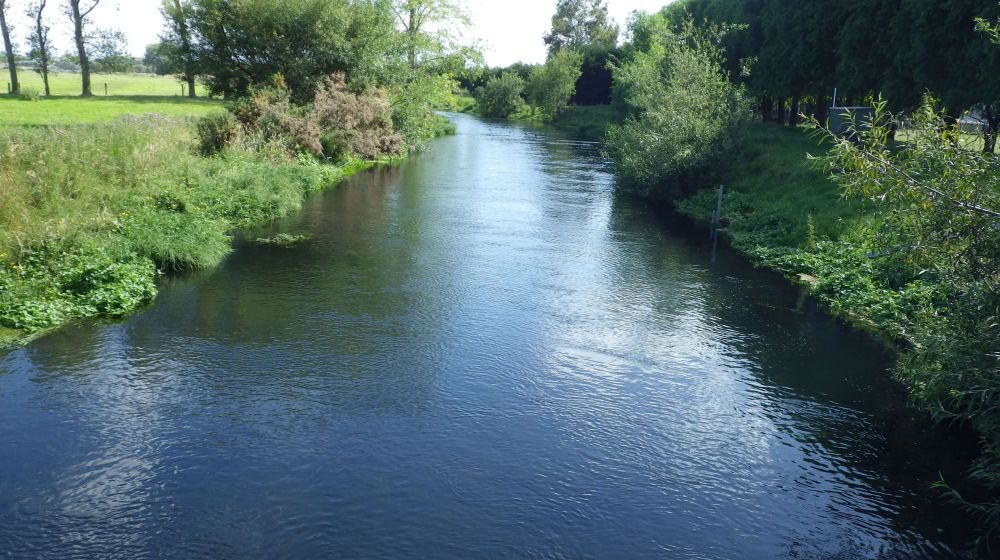 L II River 'L2' on NiceFish