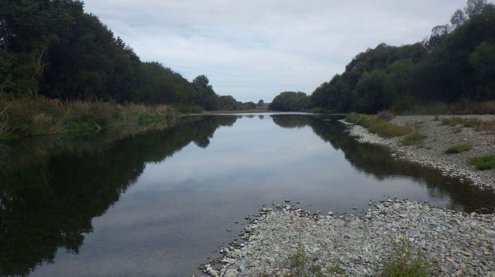 Temuka River on NiceFish