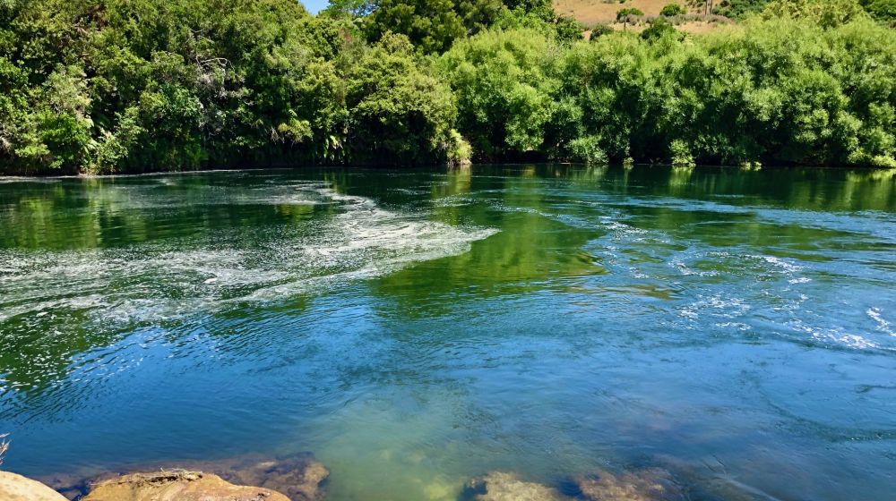 Kaituna River, downstream of control gates on NiceFish