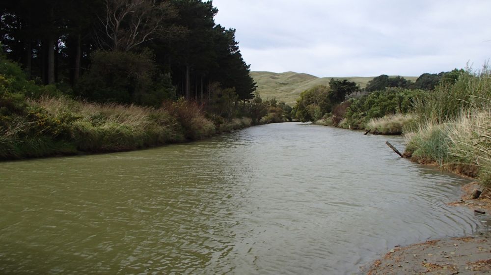Wainui River on NiceFish