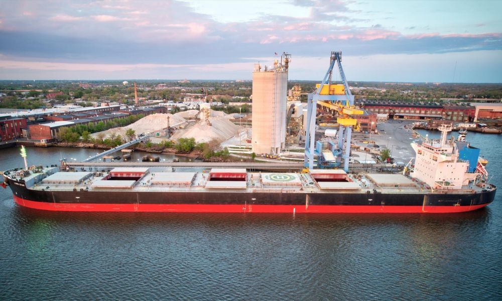 Blumenthal swoops on Japanese kamsarmax - International News | Greece