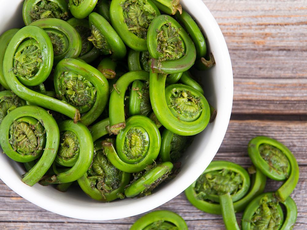 Canada’s boiled fiddleheads among the world’s 100 worst-rated foods ...