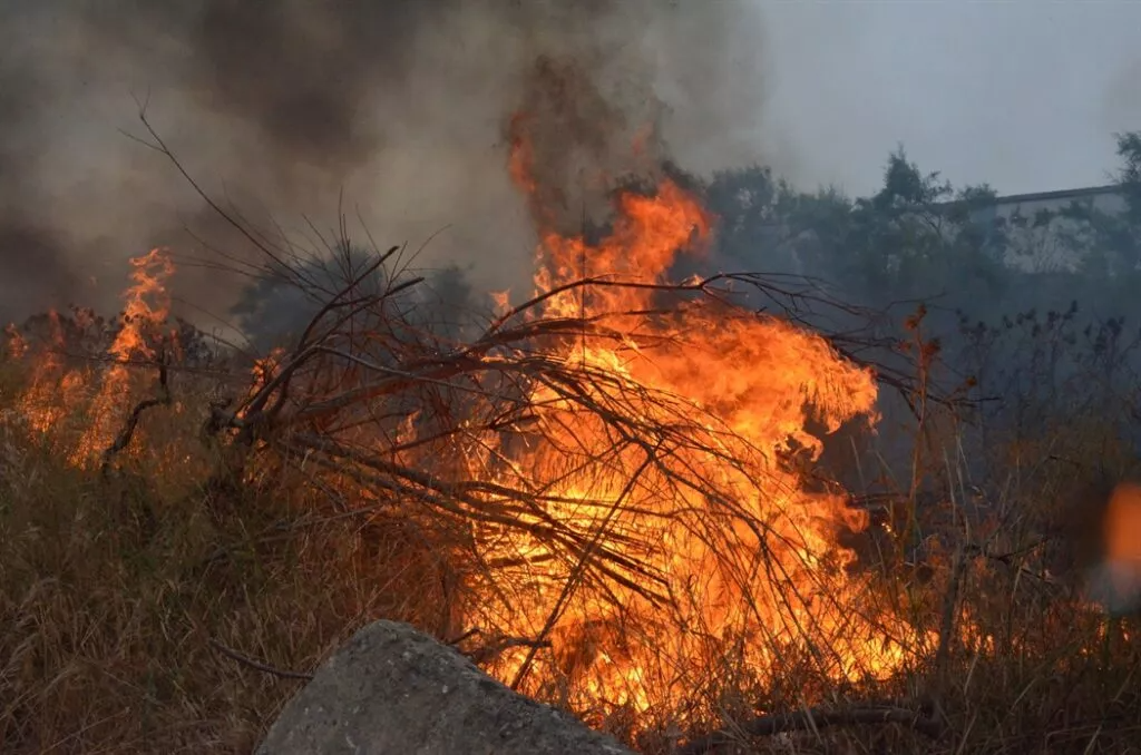 Year in, year out, the arson attacks continue unabated - International ...