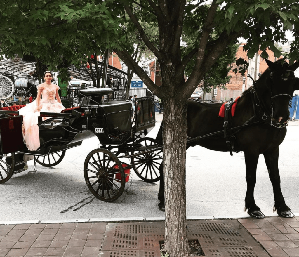 AJ Carriage and Livery | A Carriage Ride of a Lifetime of Memories!