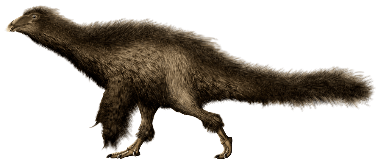 Beipiaosaurus - urzeittiere.net