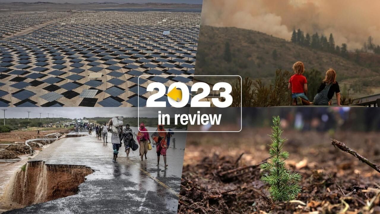 Heat records and climate accords: How did the environment fare in 2023 ...