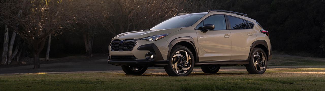 The 2025 Subaru Crosstrek | Delaney Subaru